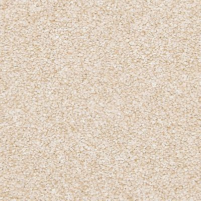 Mohawk Dynamic Quality II - Sheepskin | Carpetmart.com - Carpet & Tile Mart