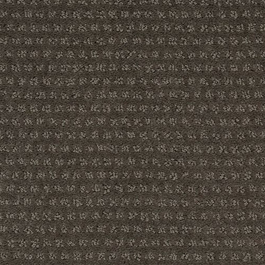 Mohawk Natural Intuition - River Stone Carpet | CarpetMart