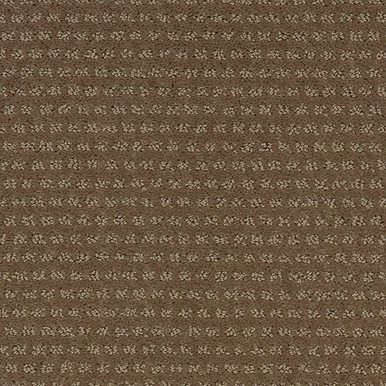 Mohawk Natural Intuition - Gingerbread Carpet - Carpet & Tile Mart