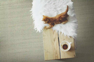 Kaleen Broadloom Green Cay GRC-75 Grey Area Rug | Carpetmart.com - Carpet & Tile Mart