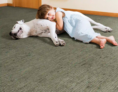 Kaleen PureLife Peabody PEA-77 Silver Area Rug | Carpetmart.com - Carpet & Tile Mart