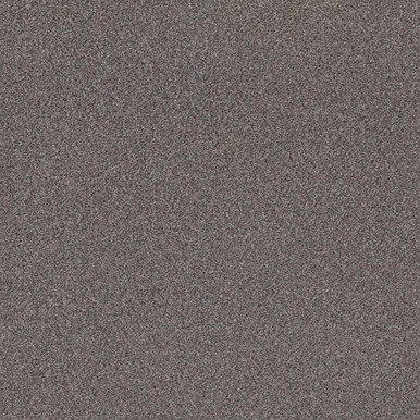 Shaw Trusplendor Quarry Carpet - Carpet & Tile Mart