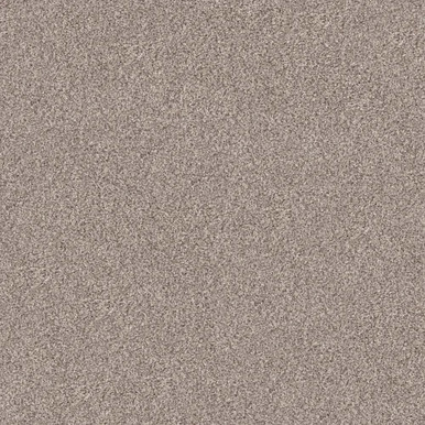 Shaw Inlet Shore II 15' - Pale Ecru Carpet | Carpetmart.com - Carpet ...