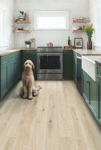 Engineered Floors PureGrain High-Def Divine D2027-5005 Stardust Oak 7-1 ...