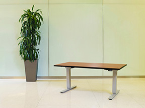 ERGOFLEX Electric Height and Width Adjustable Frame - Orlando Office ...