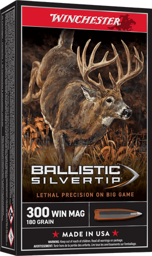 Ballistic Silvertip 300 WIN MAG
