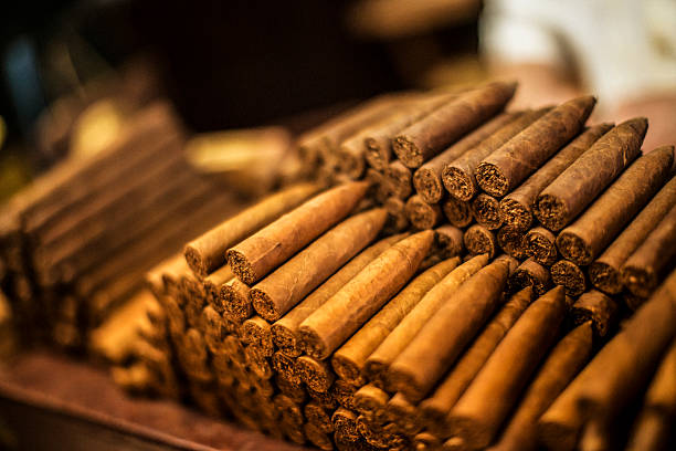 The Art of Cigar Smoking: Unveiling the Charms and Distinctions ...