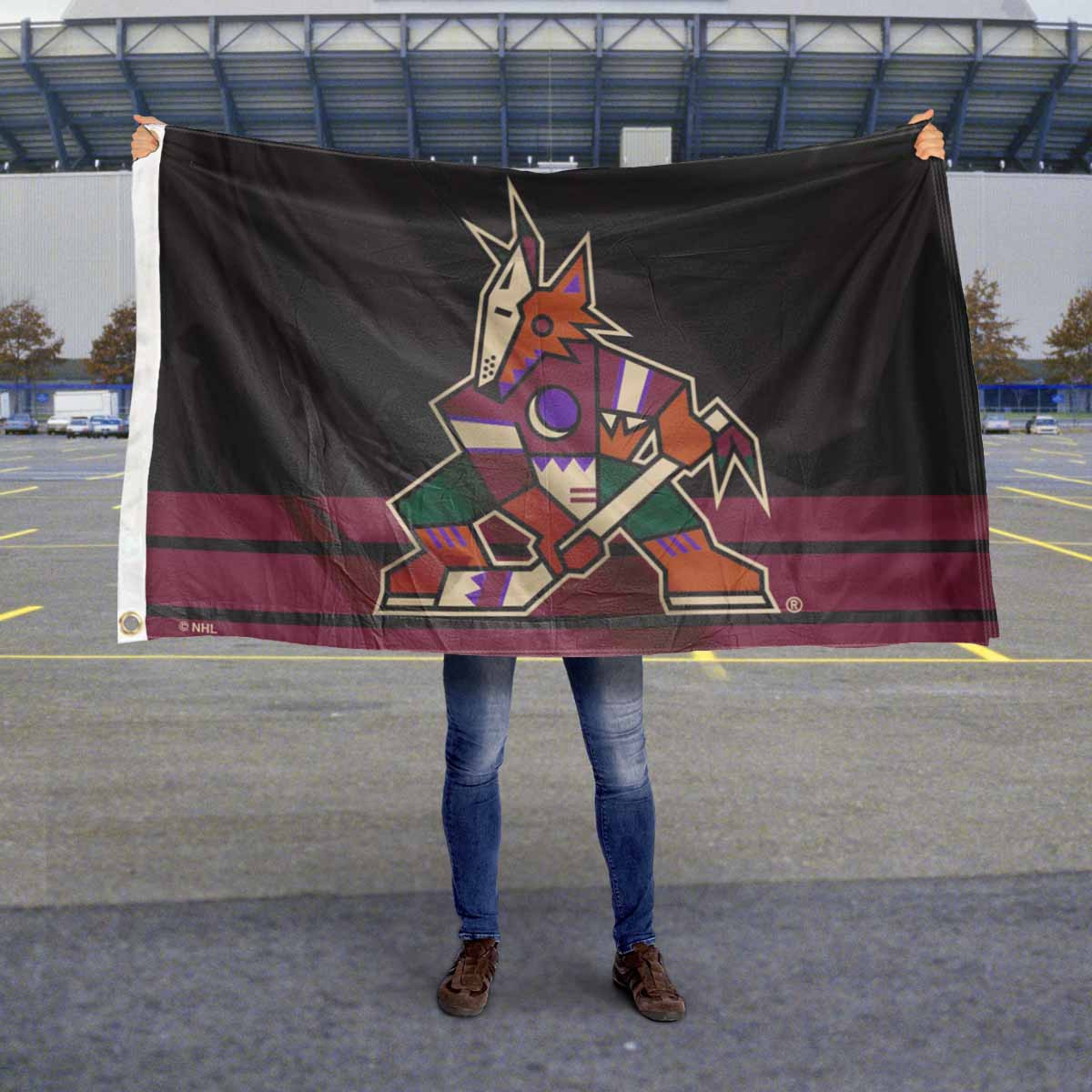 Phoenix Coyotes Kachina Logo Outdoor 3x5 Flag - State Street Products