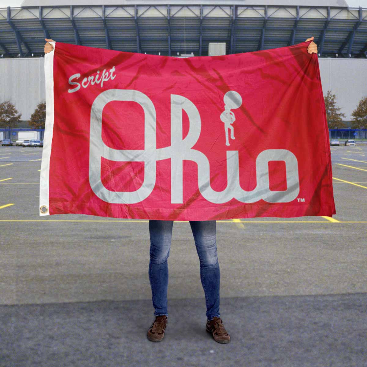 Ohio State Buckeyes Script Ohio 3x5 Flag - State Street Products