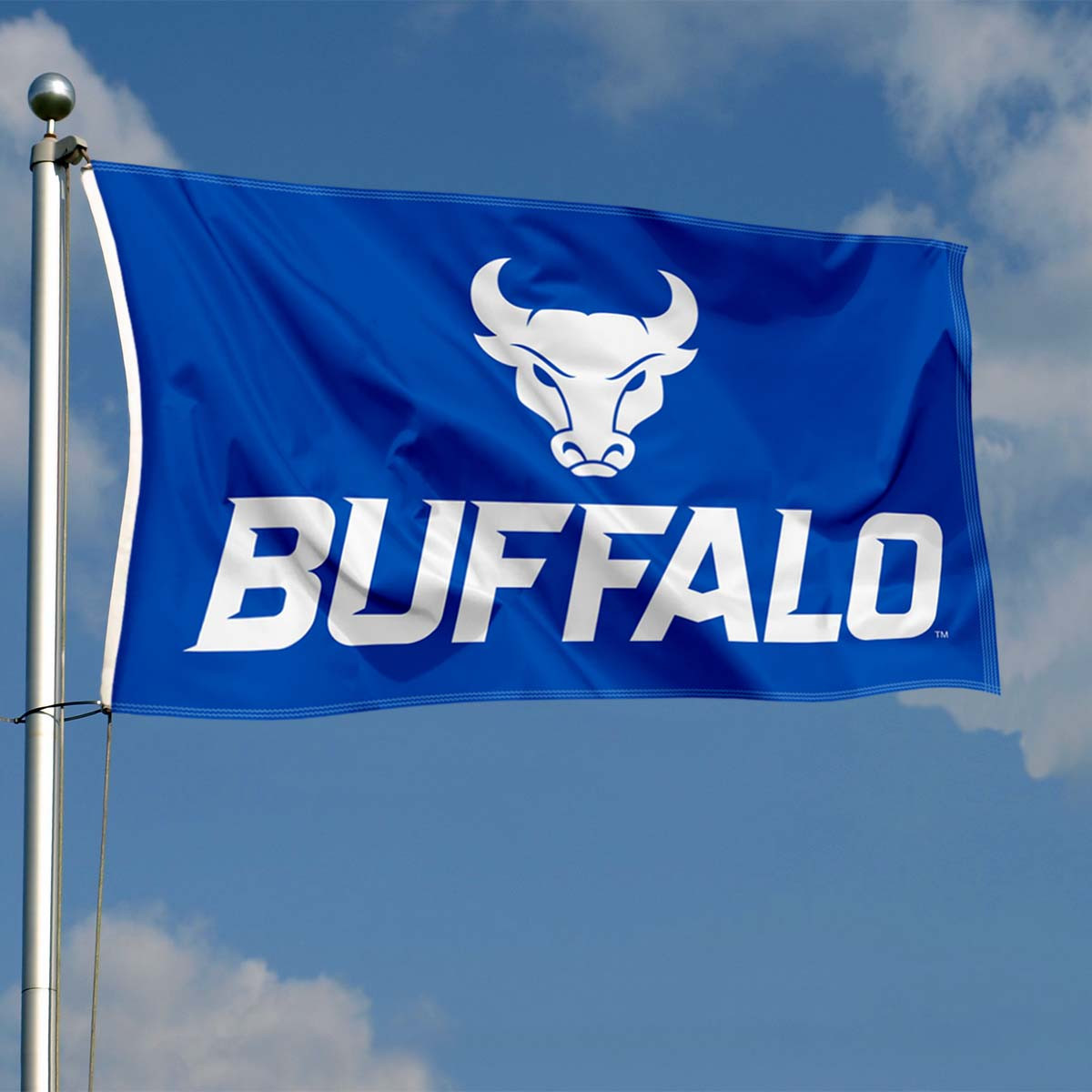 Buffalo Bulls New Logo Flag - State Street Products