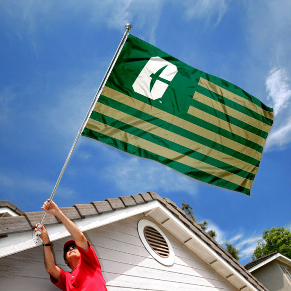 UNC Charlotte 49ers All-In C Stripes Flag - State Street Products