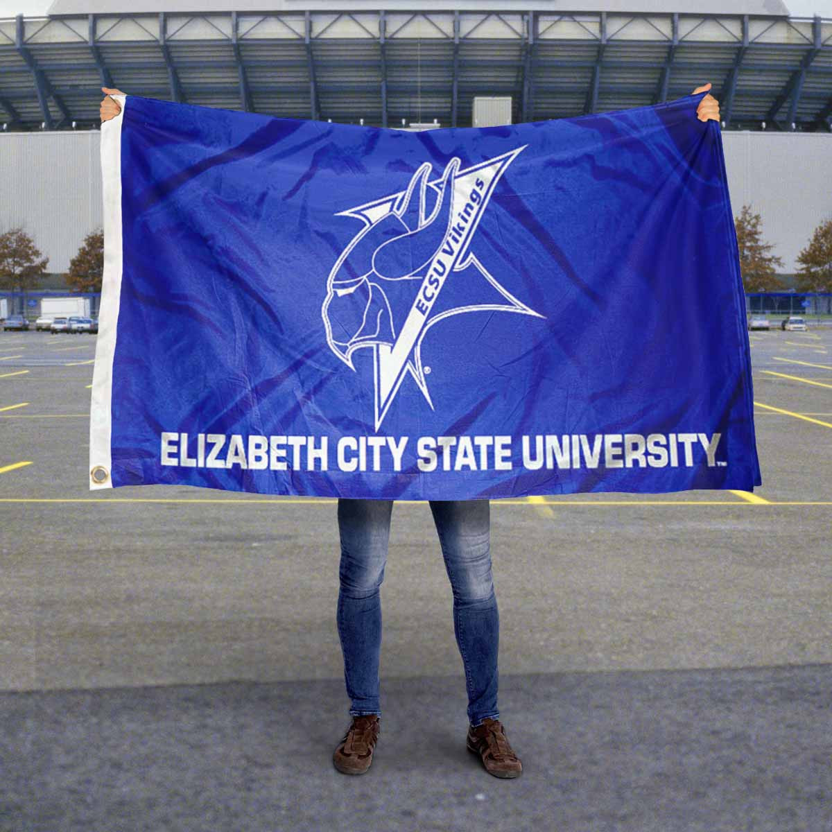 ECSU Vikings Flag - State Street Products