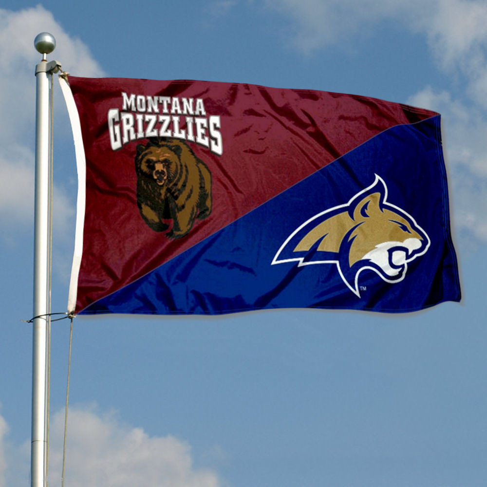 Montana vs. Montana State House Divided 3x5 Flag - State Street Products