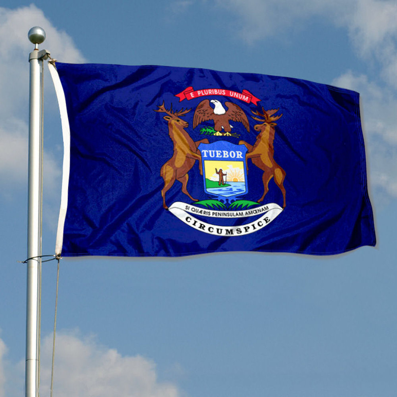 State of Michigan Flag - State Street Products