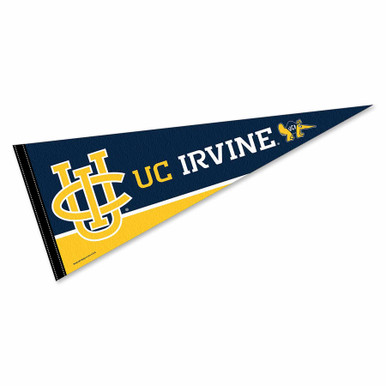 University of California Irvine Decorations - State Street Products