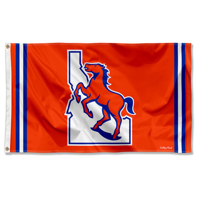 Boise State Broncos Throwback Vault Logo Flag - State Street Products