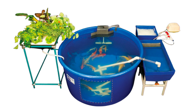 Automatic Fish Feeder | Aquaculture Feed Systems | Global Aquaculture ...