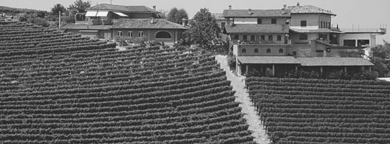 Elio Altare Offer - The Wine Emporium