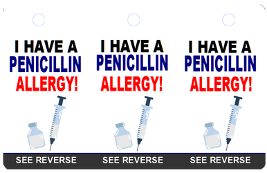 Penicillin Allergy Alert Bag Tag / Key Fobs