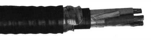 12 AWG 2 Conductor Teck90 Armored Cable w/G 90C 600V | By the Foot