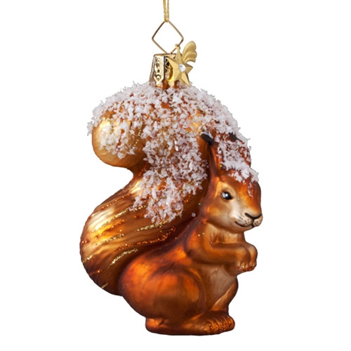 Country Squirrel