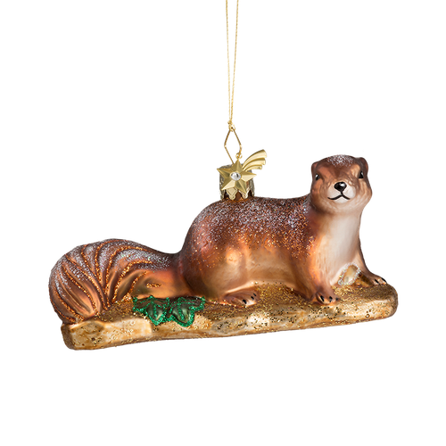 Country Squirrel
