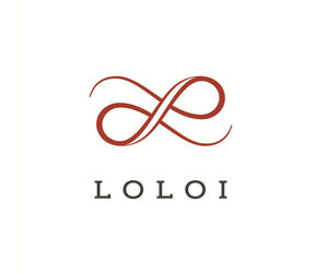 Loloi Area Rugs For Sale | Shop Loloi Wool Rugs Online | Payless Rugs