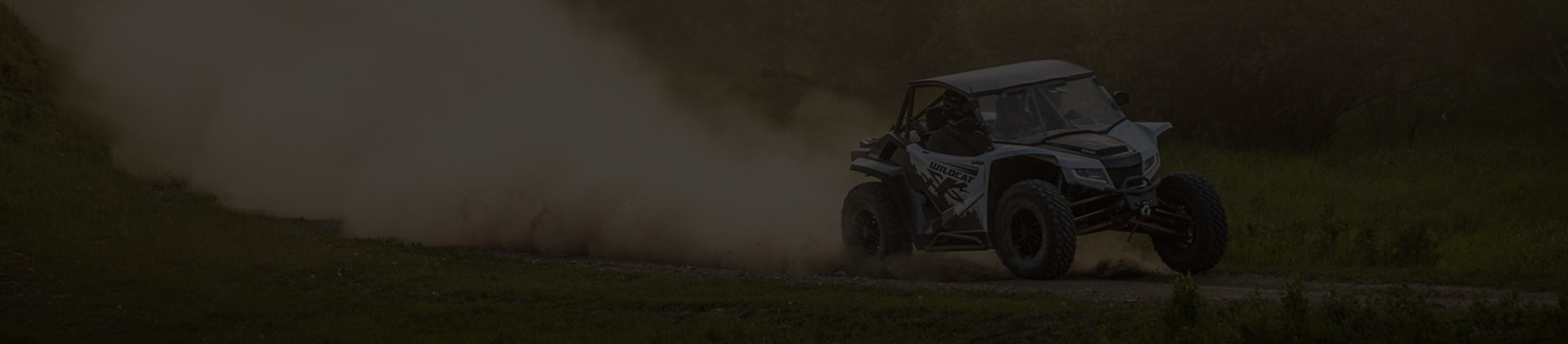 Arctic Cat Wildcat Replacement & Aftermarket Wheels / Rims.