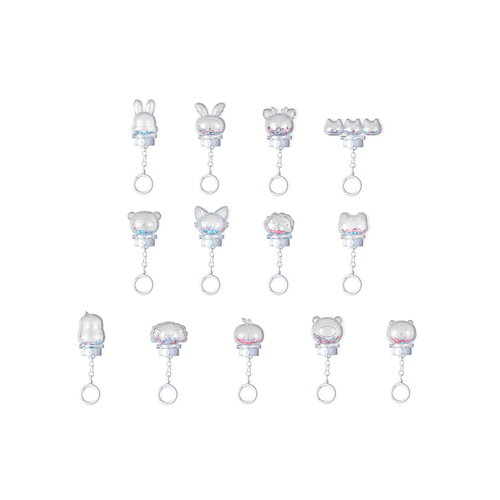 SEVENTEEN - WORLD TOUR [NEW_] IN INCHEON MD : MINITEEN Light Stick ...
