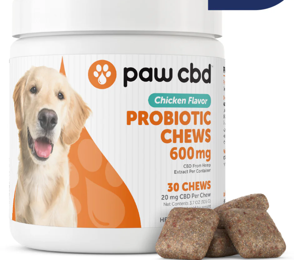 Paw CBD Probiotic Chews for Dogs 600mg | Digestive & Calm Support