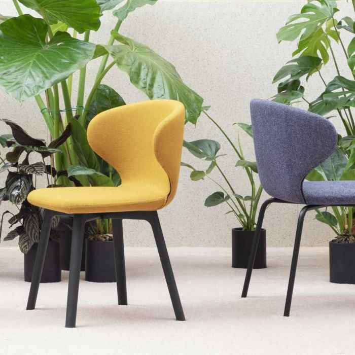 Mula Chair | Stylish Mula Chair - Mondo Collection