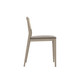 Eva Chair - Stylish and Comfortable Chair | Mondo Collection