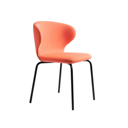 Mula Chair | Stylish Mula Chair - Mondo Collection