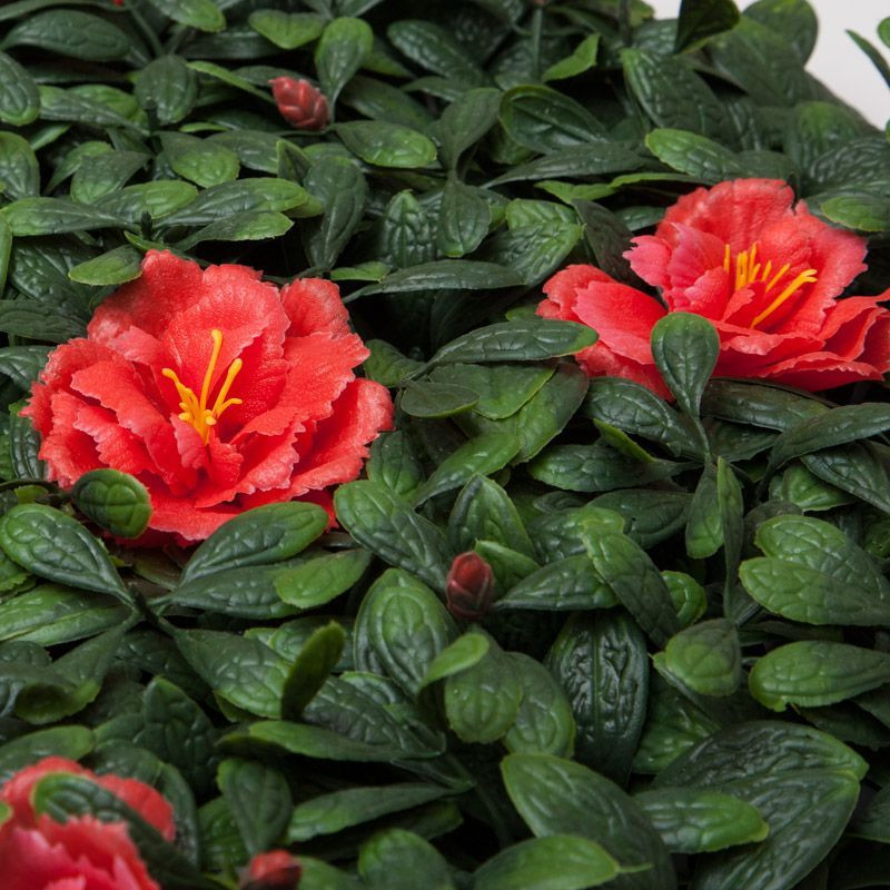 12"x12" UV Outdoor Azalea Mat – Vibrant Floral Signage Backdrop