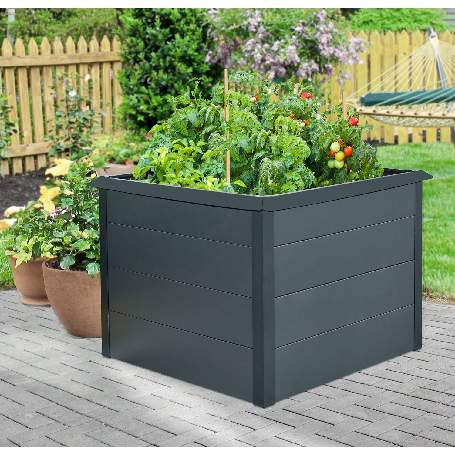 5 TIPS FOR PLANTING YOUR SEED STARTERS - Hanover Home