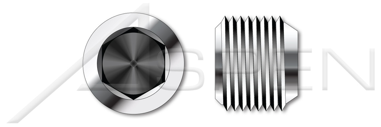 Pipe Plugs M10-1.0 X 8mm Hex Drive Tapered Thread Stainless Steel A4 ...