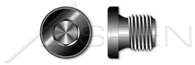 Pipe Plugs M36-1.5 Hex Drive Steel Straight Thread DIN 908 ME250