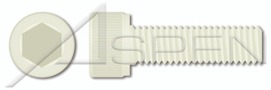 Socket Cap Screws M18-2.5 X 35mm Hex Drive Polyamide Origin Undefined ...