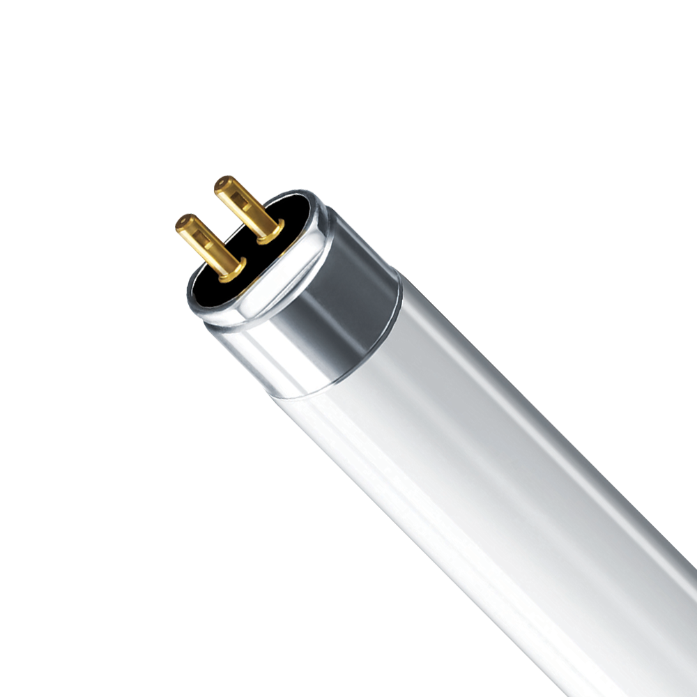 Linear Fluorescent Light Bulbs | T5, T8 & T12 | Linear, Circline & U ...