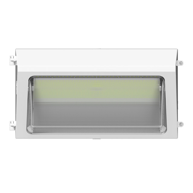 RAB W22-L-150W - Field-Adjustable Power, Color, and Throw LED Wall Pack ...