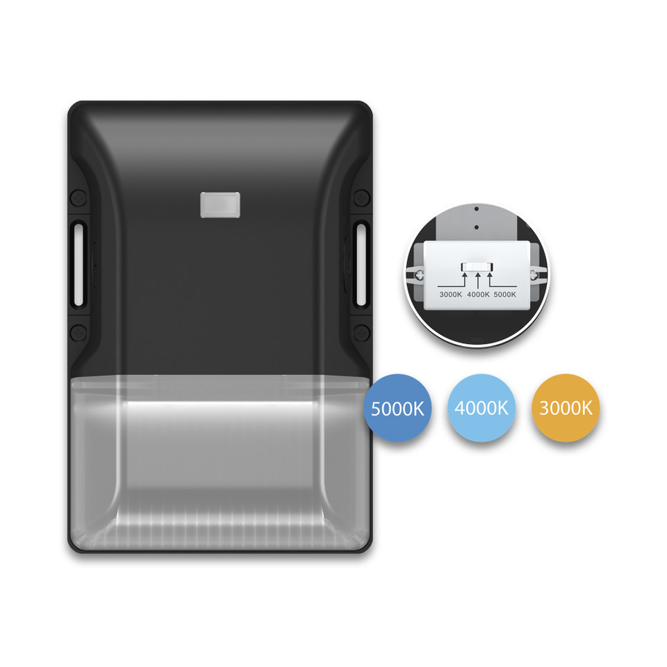 RAB BRISK17FA20 - Small LED Wall Pack | CityLightsUSA.com