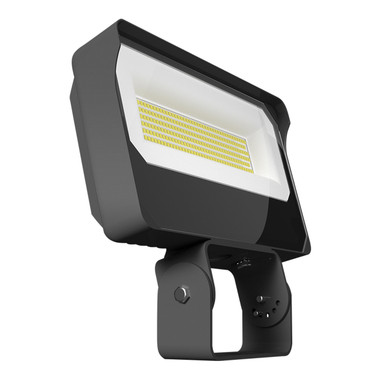 RAB X34LT - Field-Adjustable LED Flood Light | CityLightsUSA.com