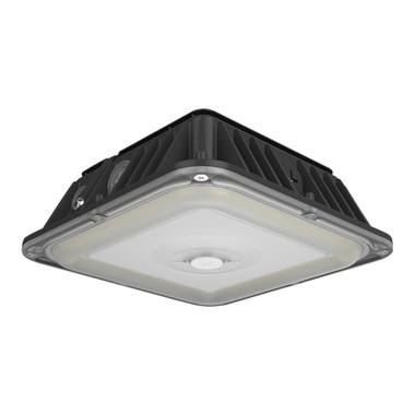 RAB VAN17-30 - Power and Color Adjustable LED Canopy Light ...
