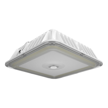 RAB VAN17-60W - Power and Color Adjustable LED Canopy Light ...
