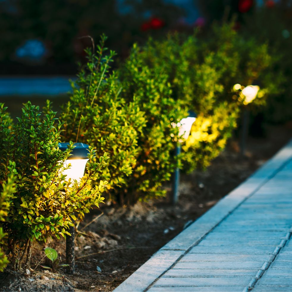 Why the Placement of Your Outdoor Solar Lights Matters - Induction ...