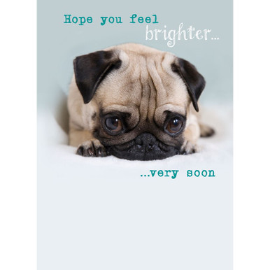 Get Well Soon Card - Cute Pug - Dogs Gift