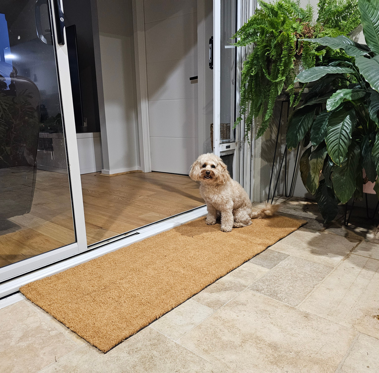PVC Backed Coir Mat 15mm 55 x 150cm | Doormat