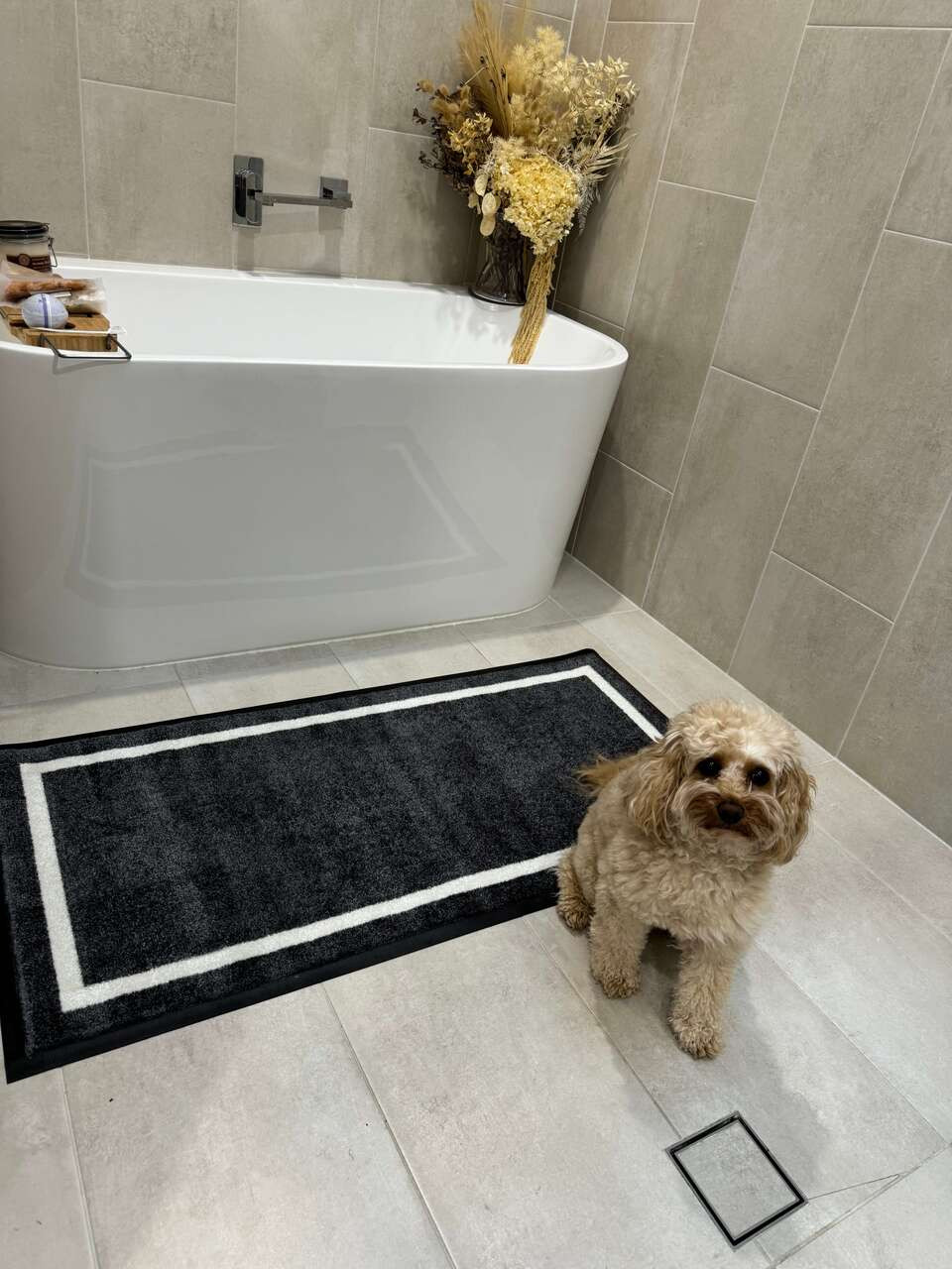 Grey Absorbent Dirt Stop Mat with White Border | Doormat
