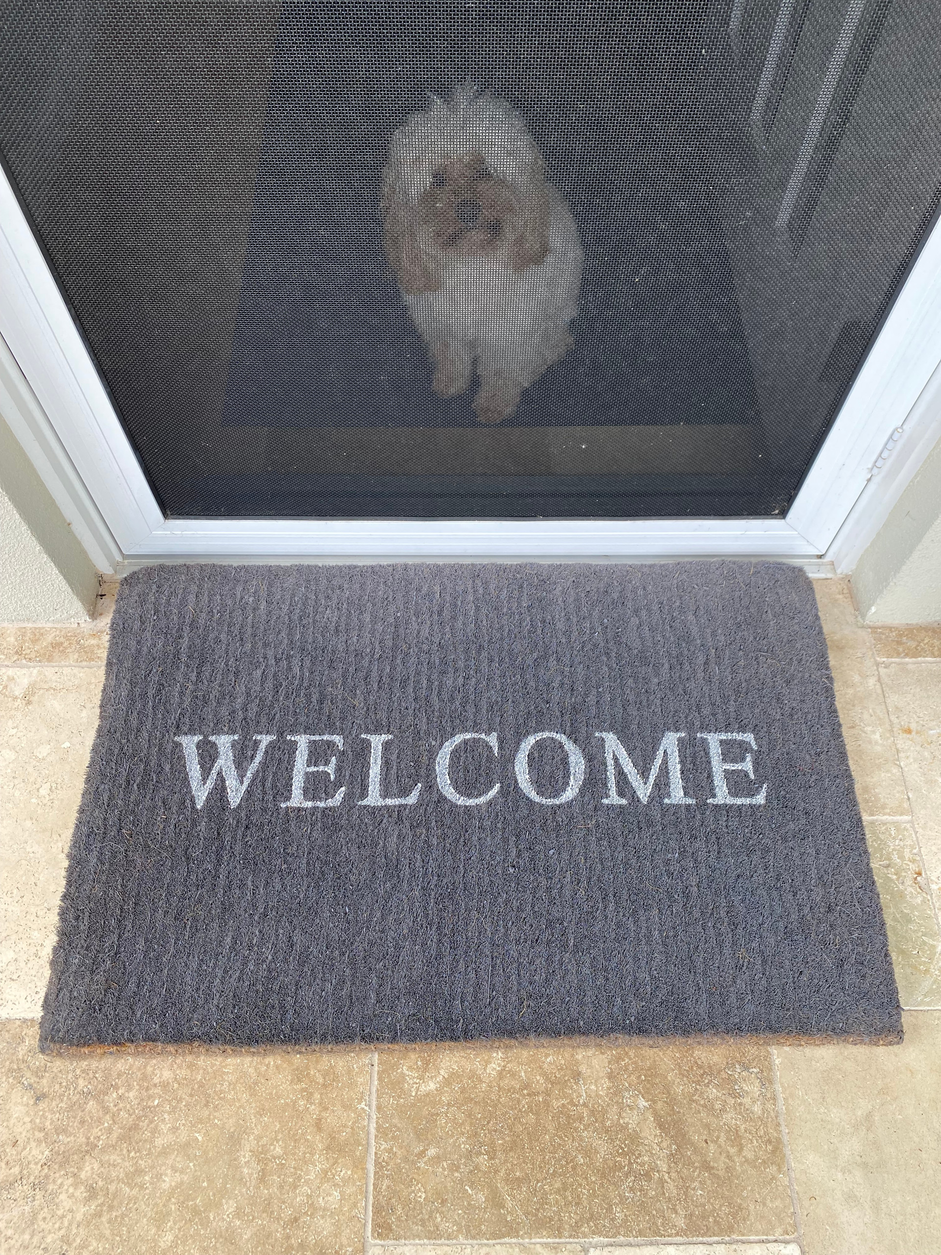 Welcome Mats Australia | Coir & Absorbent | Doormat