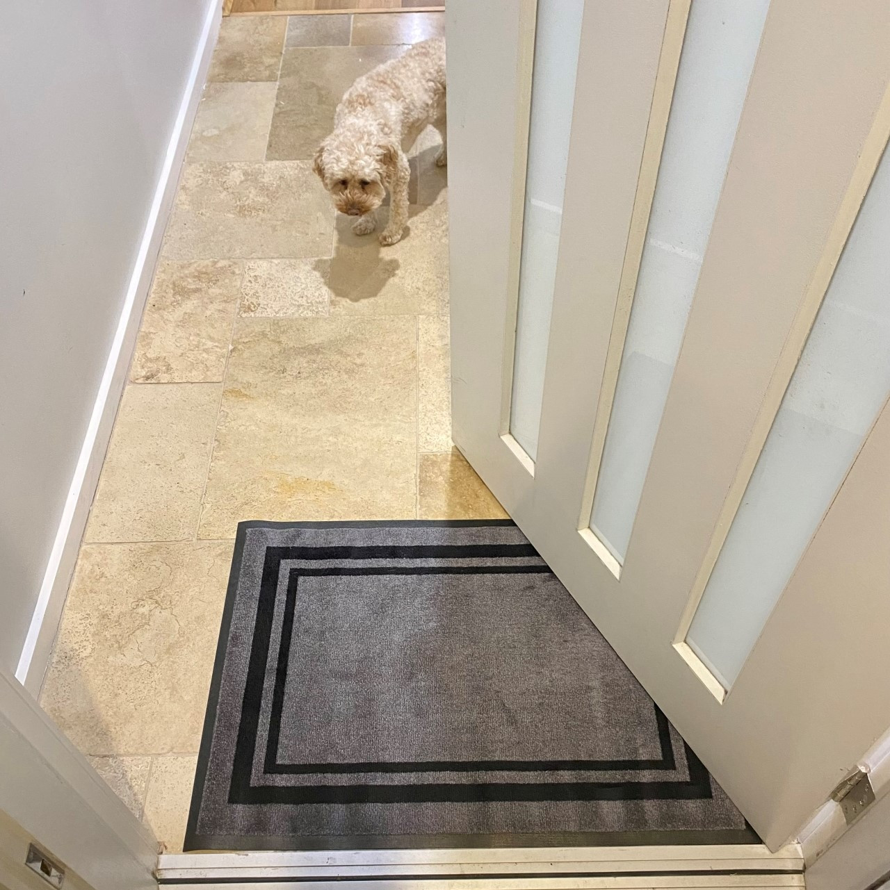 Absorbent Dirt Stop Mat Grey with Black Double Border | Doormat